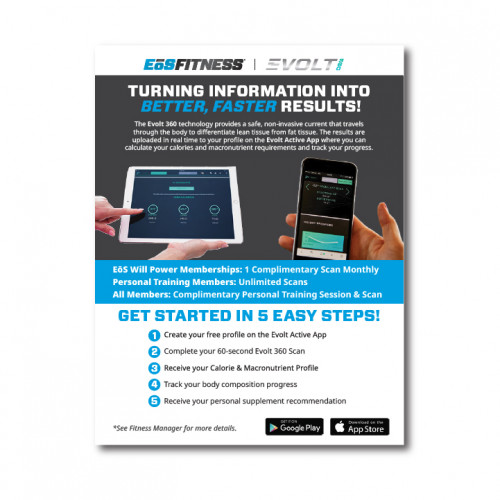 Evolt - Flyer (8.5" x 11") (Pack of 5)